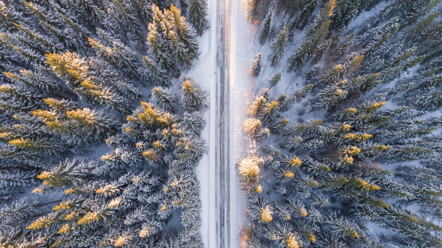Exploring Almaty Winter Months: A Comprehensive Guide to a Magical Season