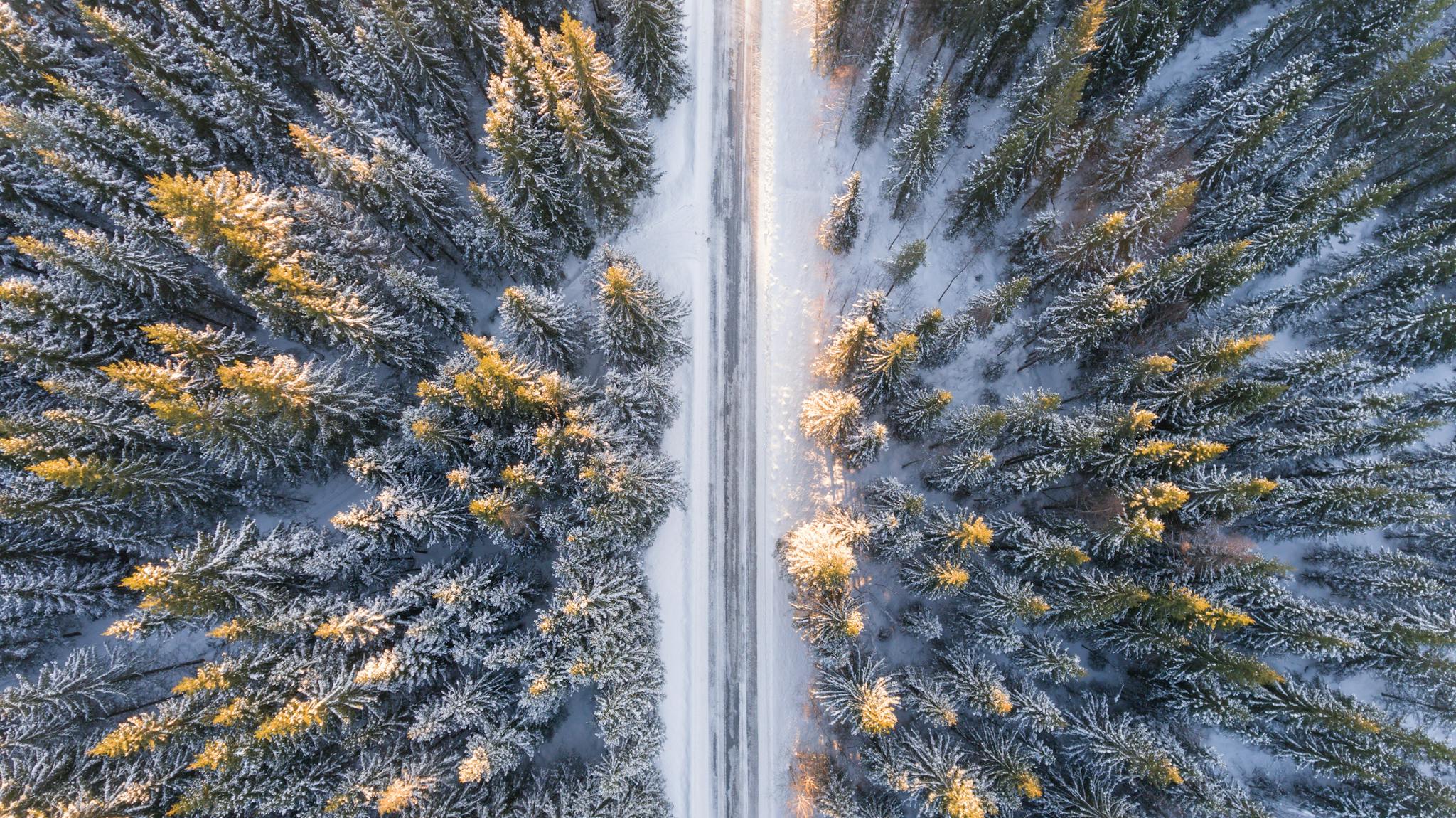 Exploring Almaty Winter Months: A Comprehensive Guide to a Magical Season